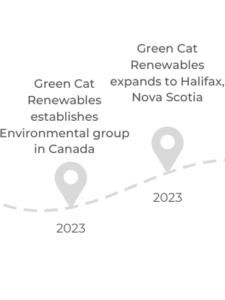 Green Cat Home - Green Cat Renewables